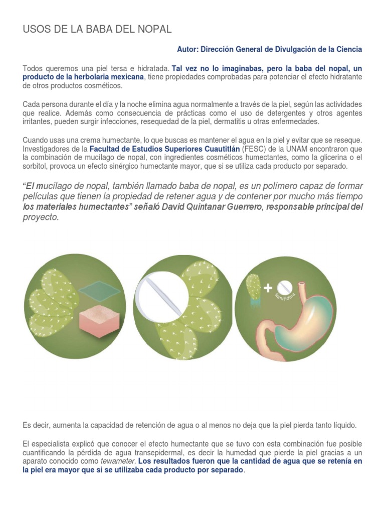 Usos de La Baba Del Nopal | PDF | Medicamentos con receta | Agua