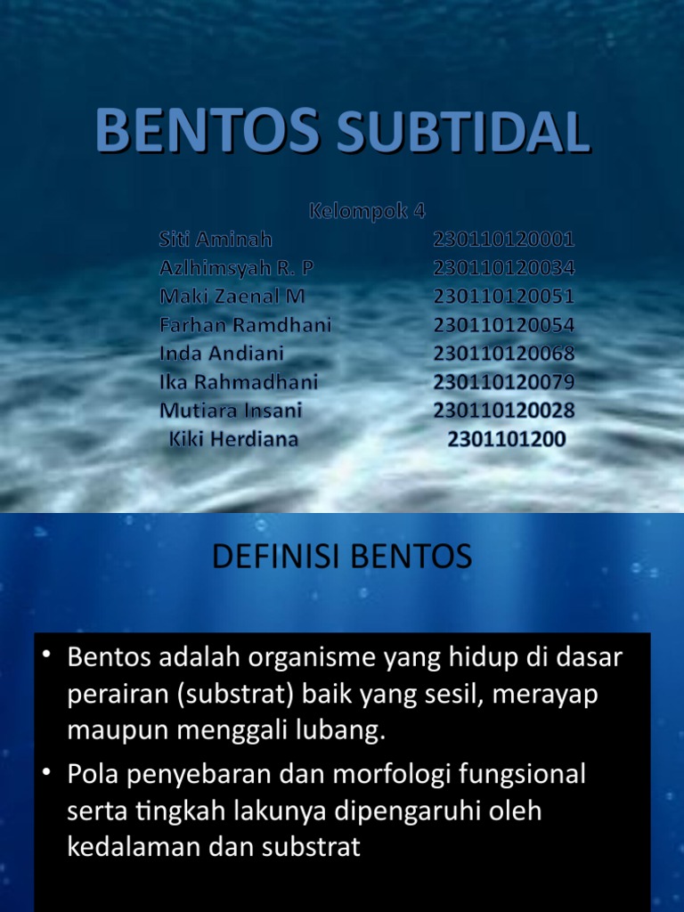 Benthos Subtidal | PDF