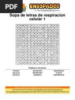 Sopa de Letras de Respiracion Celular - 1 PDF | PDF | Artes del ...