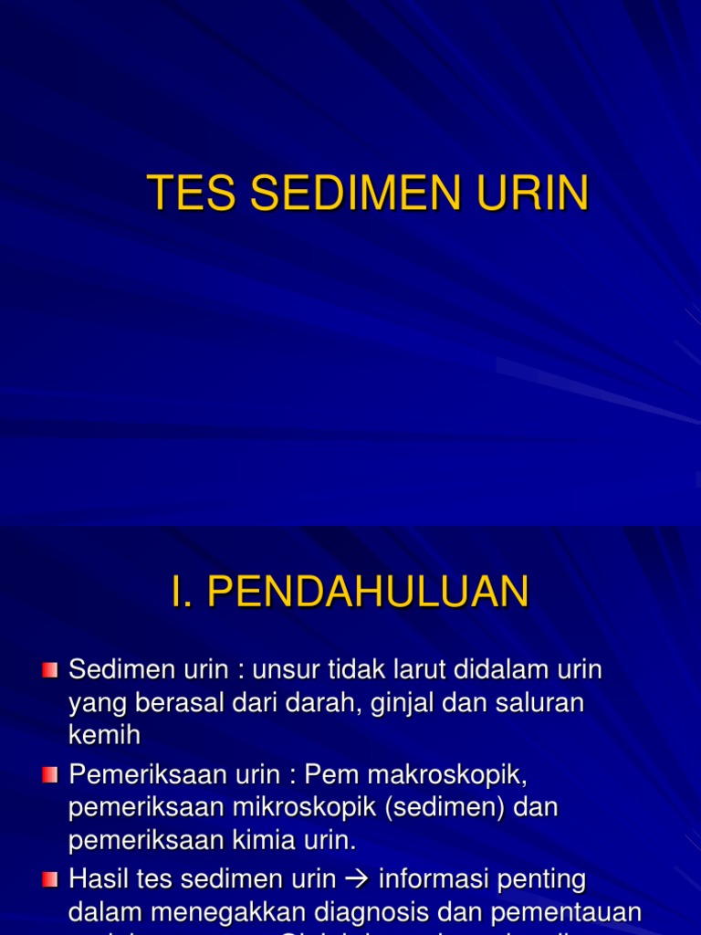 Tes Sedimen Urin | PDF