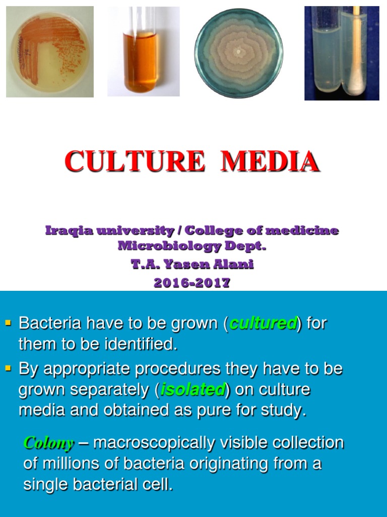 Culture Media & Culture Methods | PDF | Growth Medium | Staphylococcus