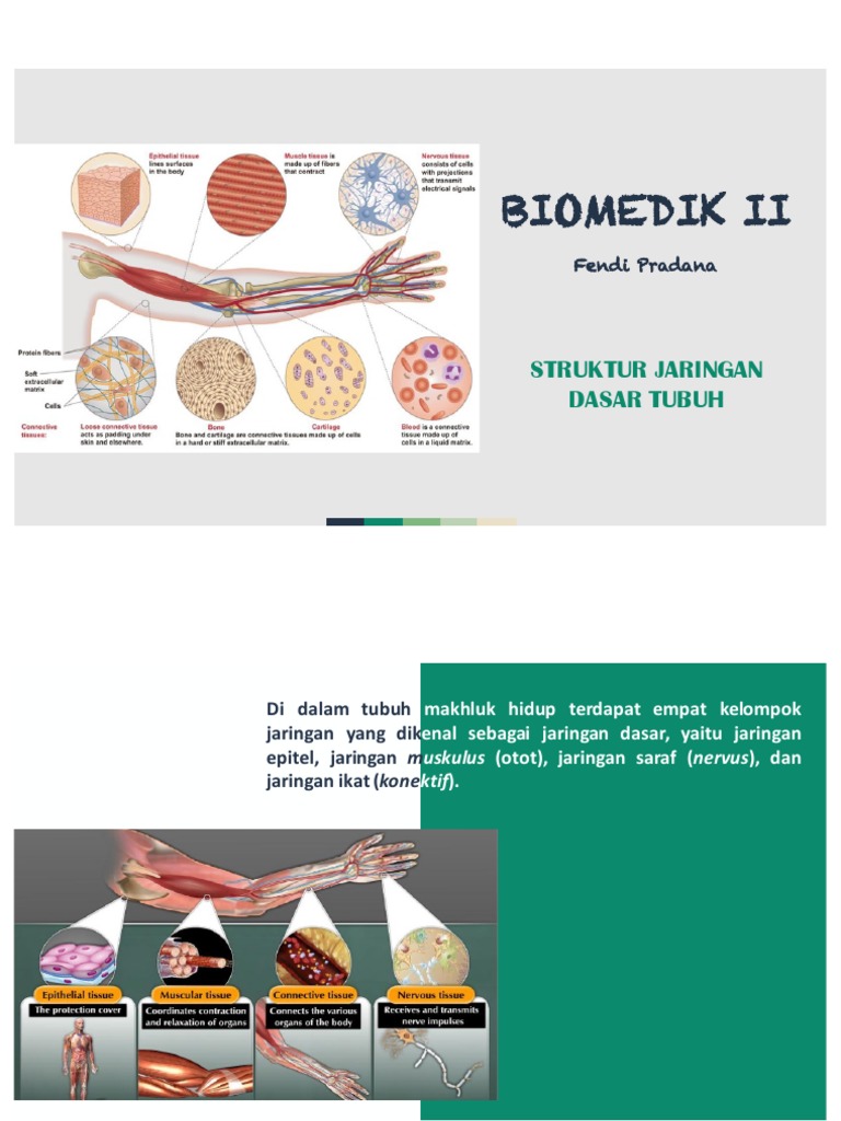 Jaringan Tubuh Manusia | PDF