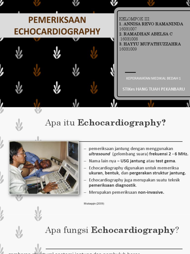 Fungsi dan Jenis Echocardiography | PDF | Sains & Matematika