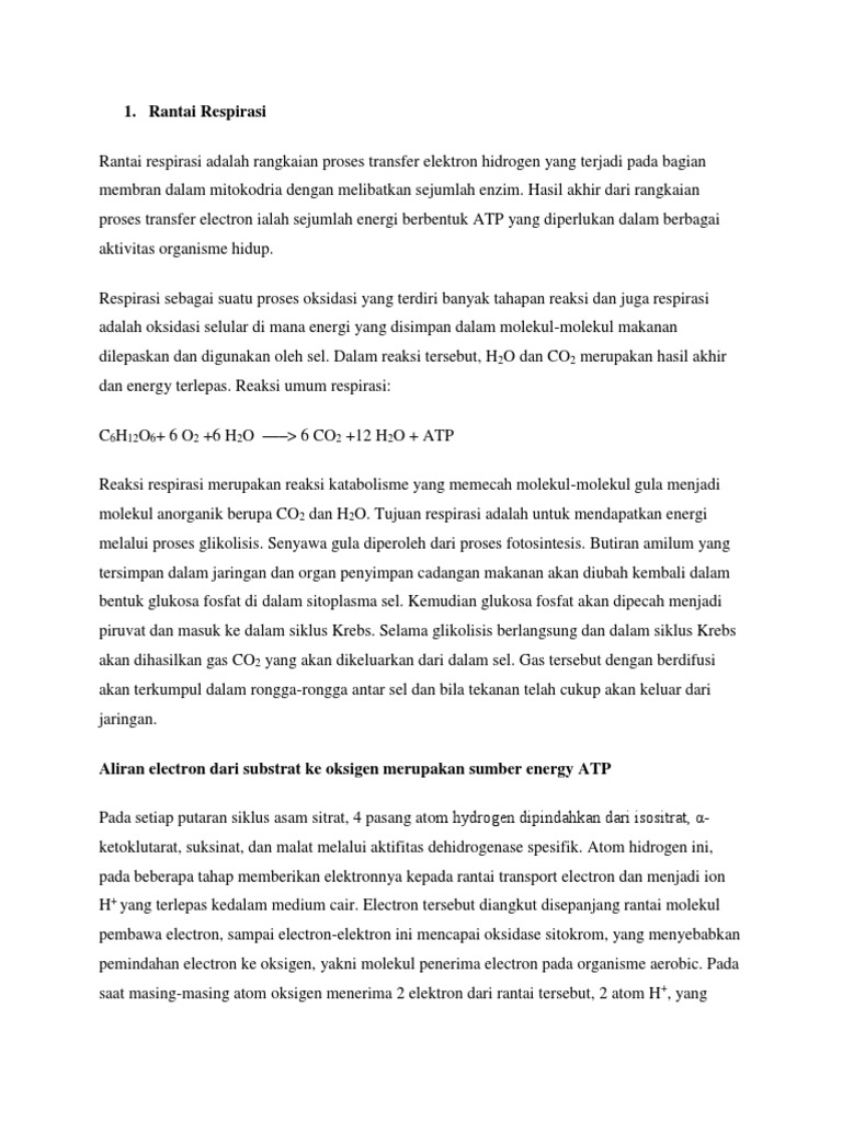 Isi Makalah Biokimia Rantai Respirasi Dan Fosforilasi Oksidatif | PDF