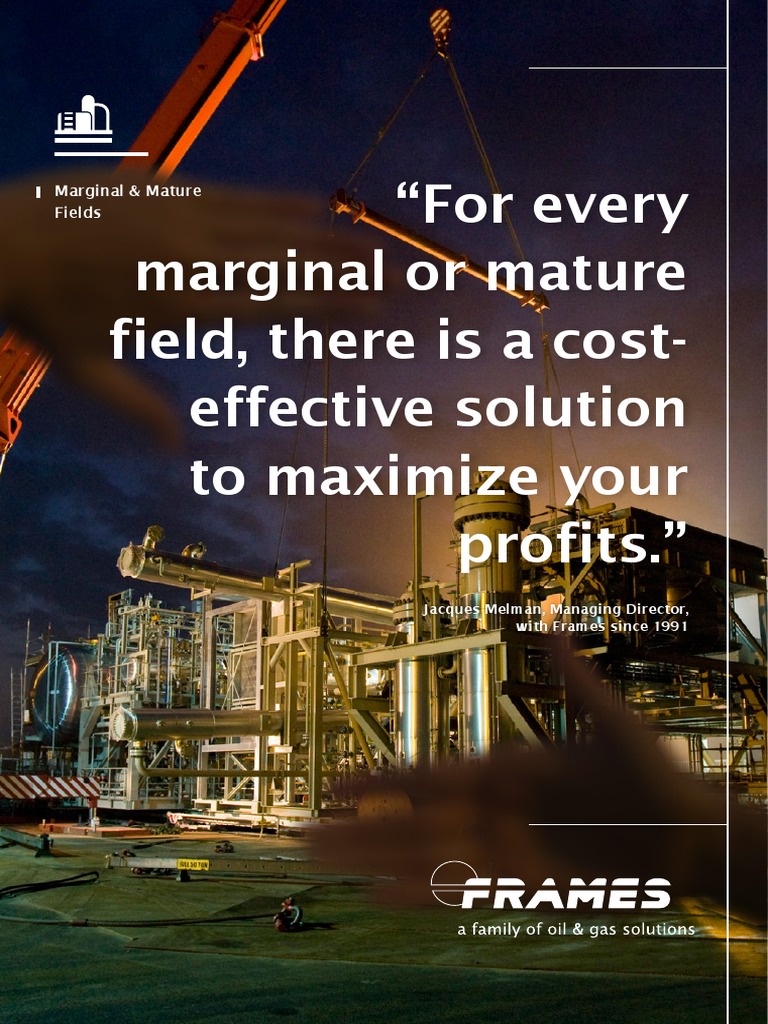 Whitepaper Marginal Fields | PDF | Petroleum Reservoir | Petroleum