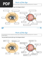 Comparative Adjectives - More & Most Worksheet | PDF | Self-Improvement ...