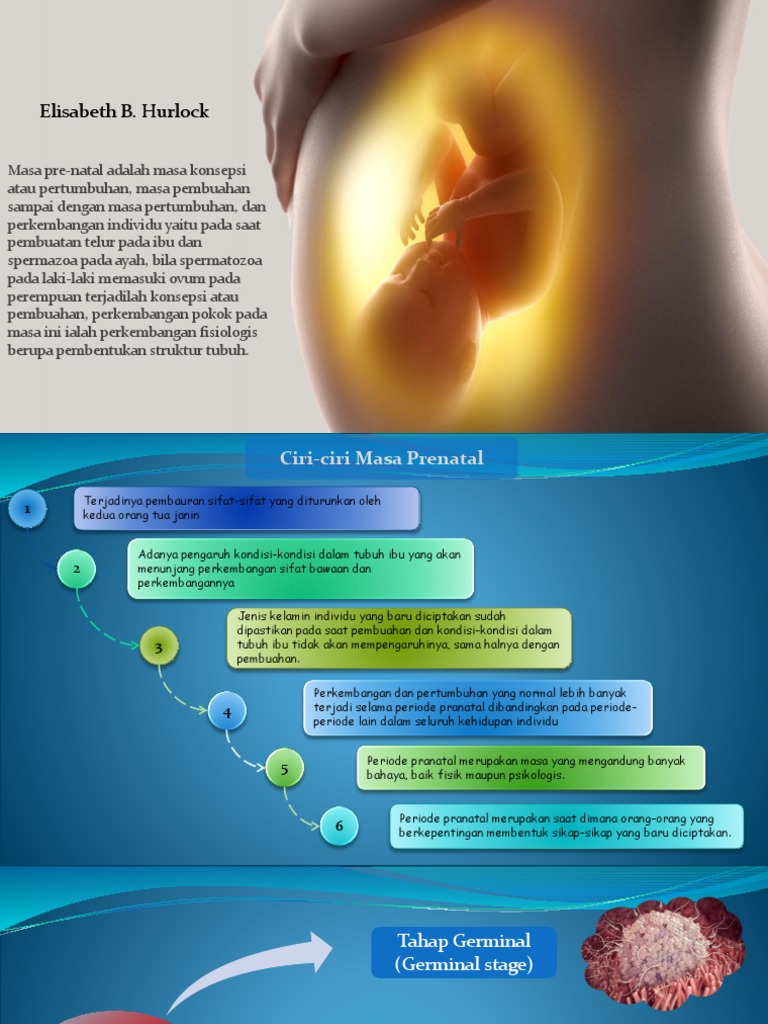 Pemahaman Masa Prenatal dan Perkembangannya | PDF