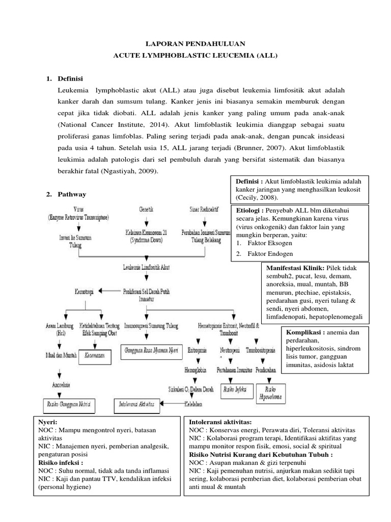 LP ALL Mapping | PDF