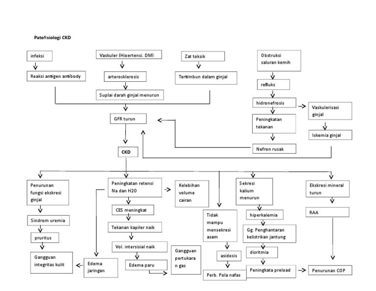 Patofisiologi CKD | PDF