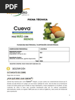 Ficha Tecnica Mastercop Adama PDF | PDF | Cobre | Pesticida