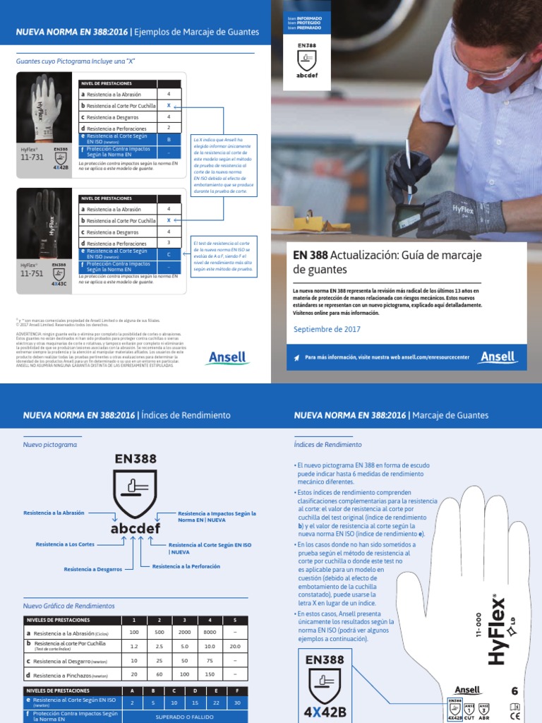 EN388 Marking Guide ES | PDF | Business