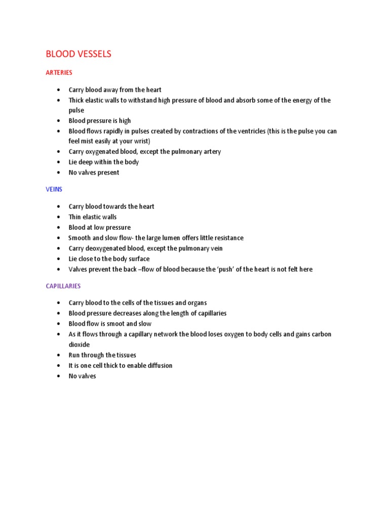 Blood Vessels | PDF | Blood | Artery