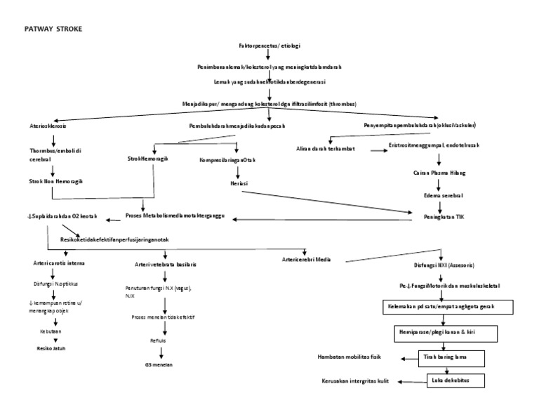Patway Stroke: Resikoketidakefektifanperfusijaringanotak | PDF