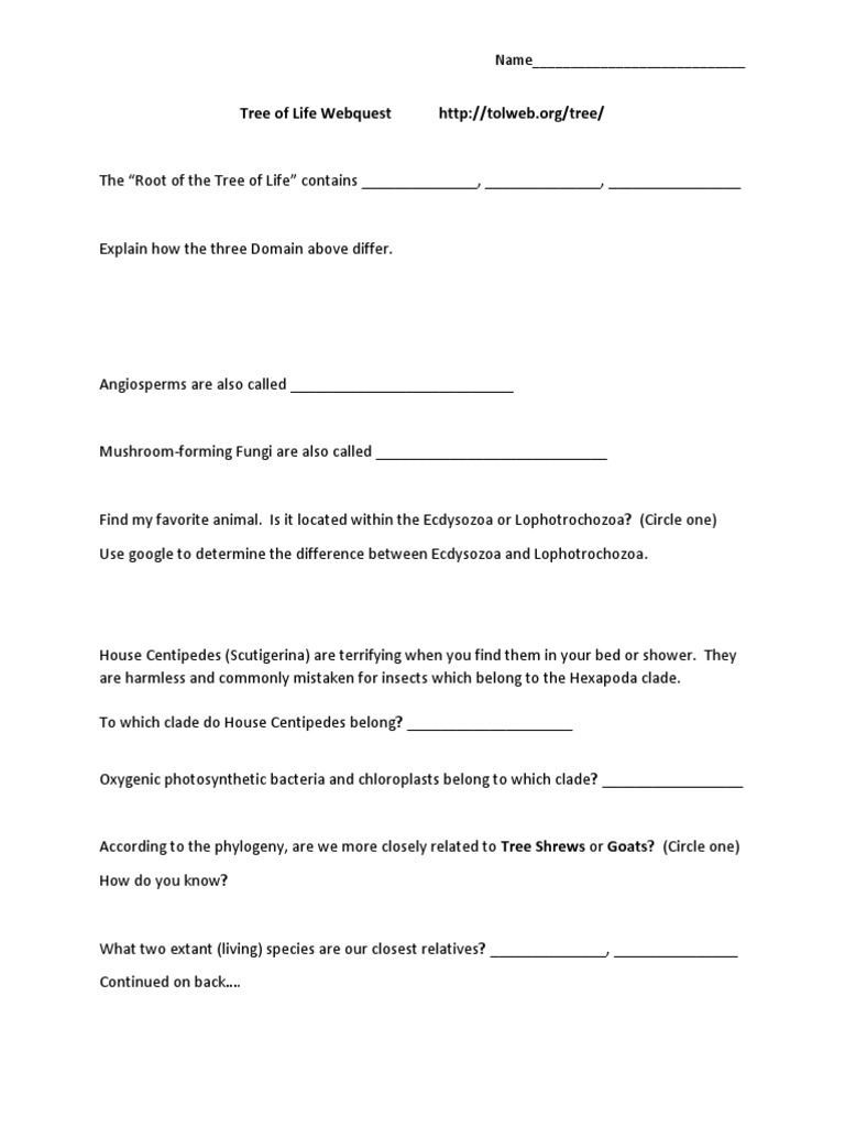 Tree of Life Webquest | PDF