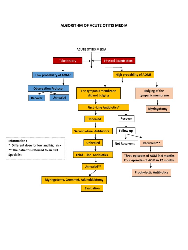 Algorithm Acute Otitis Media | PDF