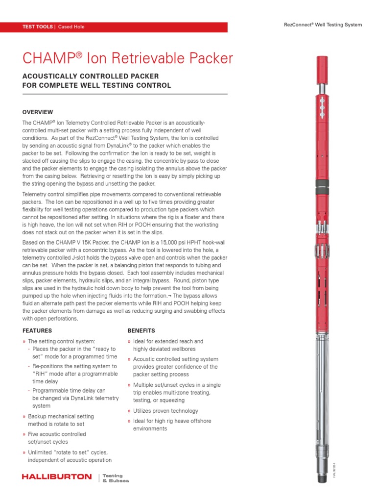 Champ Ion Packer | PDF | Strength Of Materials | Mechanical Engineering