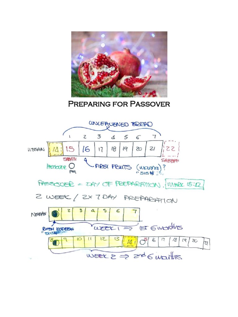 Preparation For Passover | PDF