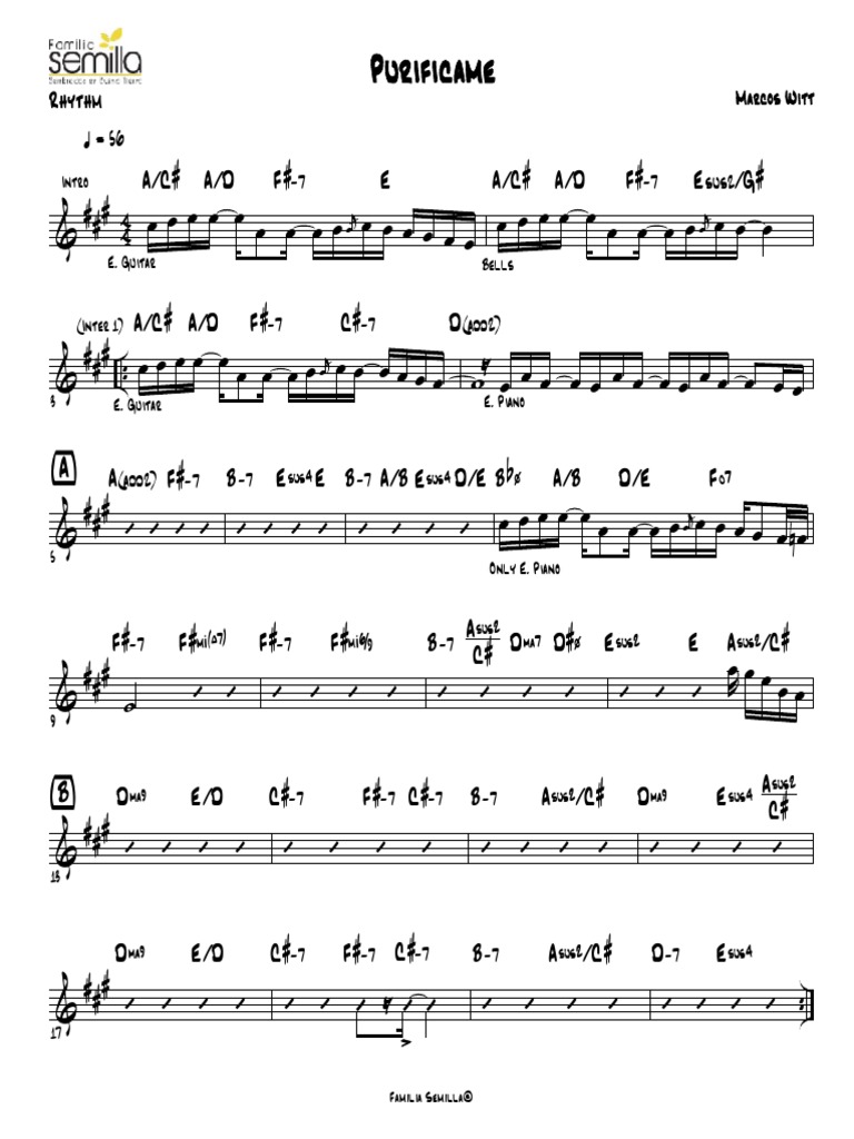 Purificame CHART PDF | PDF