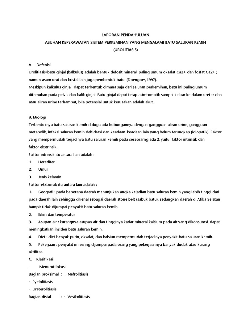 Laporan Pendahuluan BSK | PDF