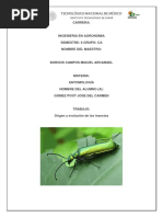 Origen y Evolucion de Los Insectos | PDF | Insectos | Escala de tiempo ...