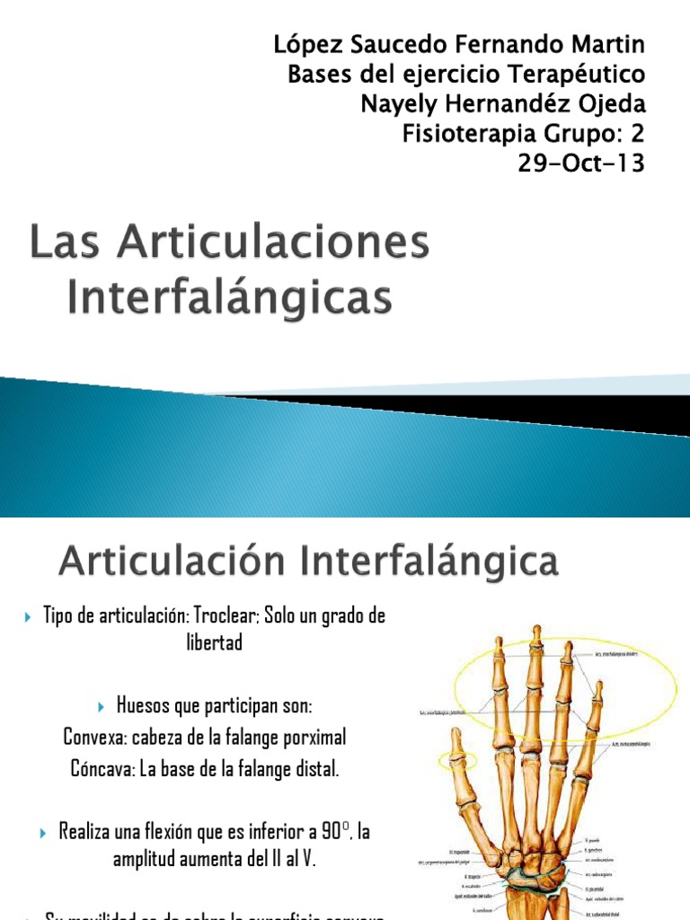 Las Articulaciones Interfalángicas | PDF