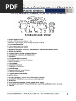 Qué Es Una Familia Sindiásmica | PDF | Ciencias sociales