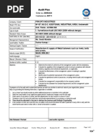 Audit Plan Sample | PDF | Audit | Internal Audit