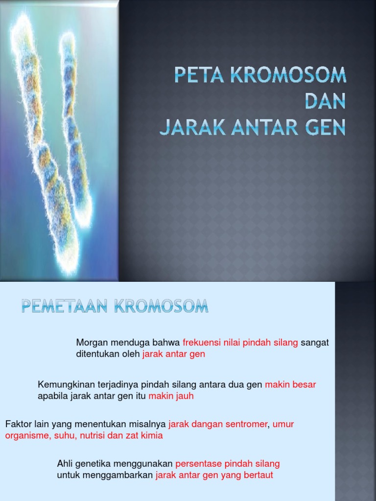 Lect7 Peta Kromosom | PDF