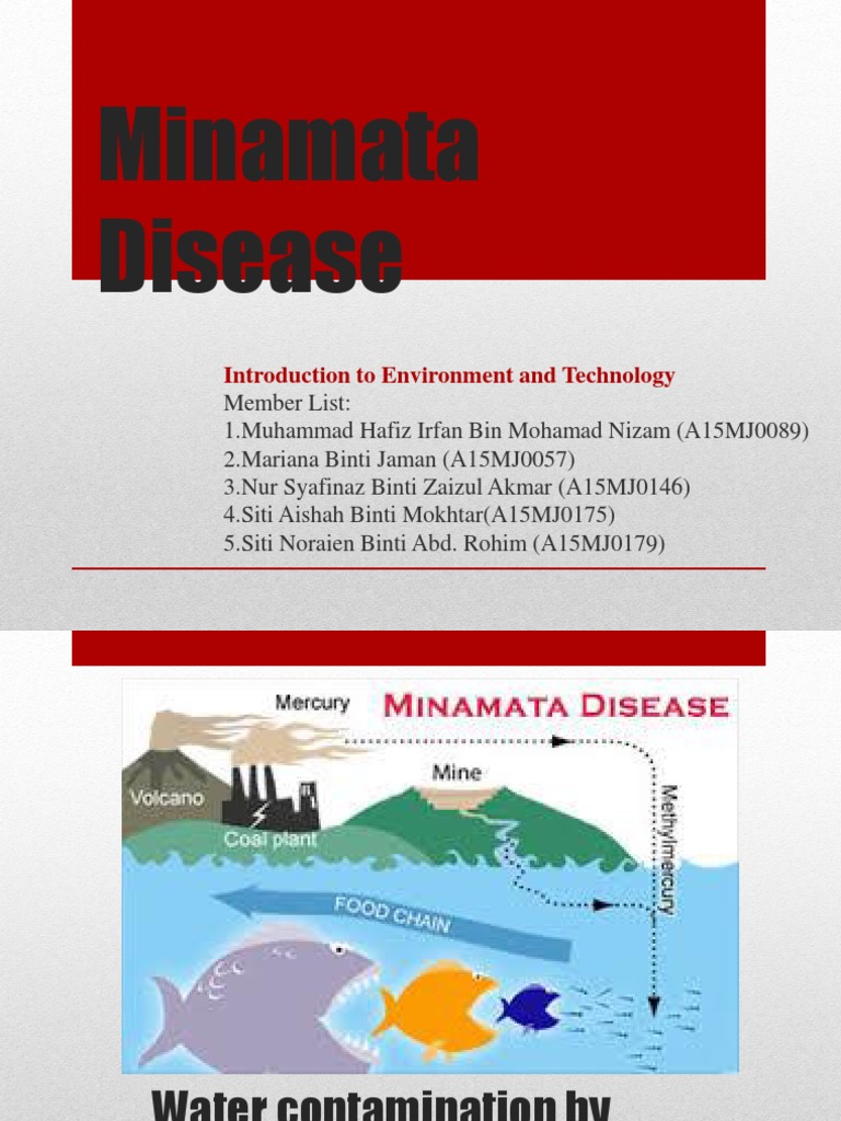 Minamata Disease: Introduction To Environment and Technology | PDF ...