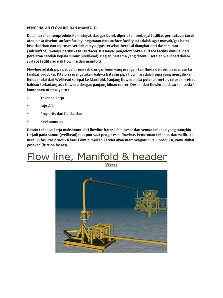 Pengenalan Flowline dan Manifold Migas | PDF | Griya & Taman | Komputer