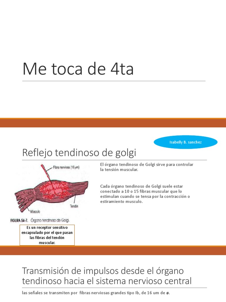 Cap. 54 Guyton | PDF