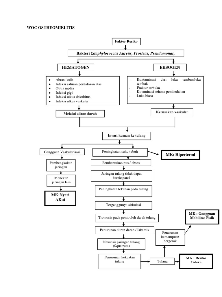 WOC Askep Klien DG Infeksi & Inflamasi Sistm Muskulo Ostheomielitis ...