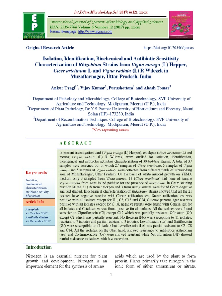 Isolation, Identification, Biochemical and Antibiotic Sensitivity Characterization of Rhizobium ...
