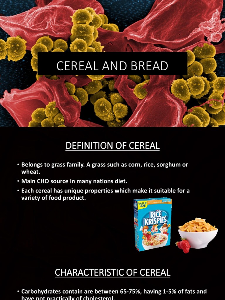 Cereal and Bread | PDF | Mold | Cereals