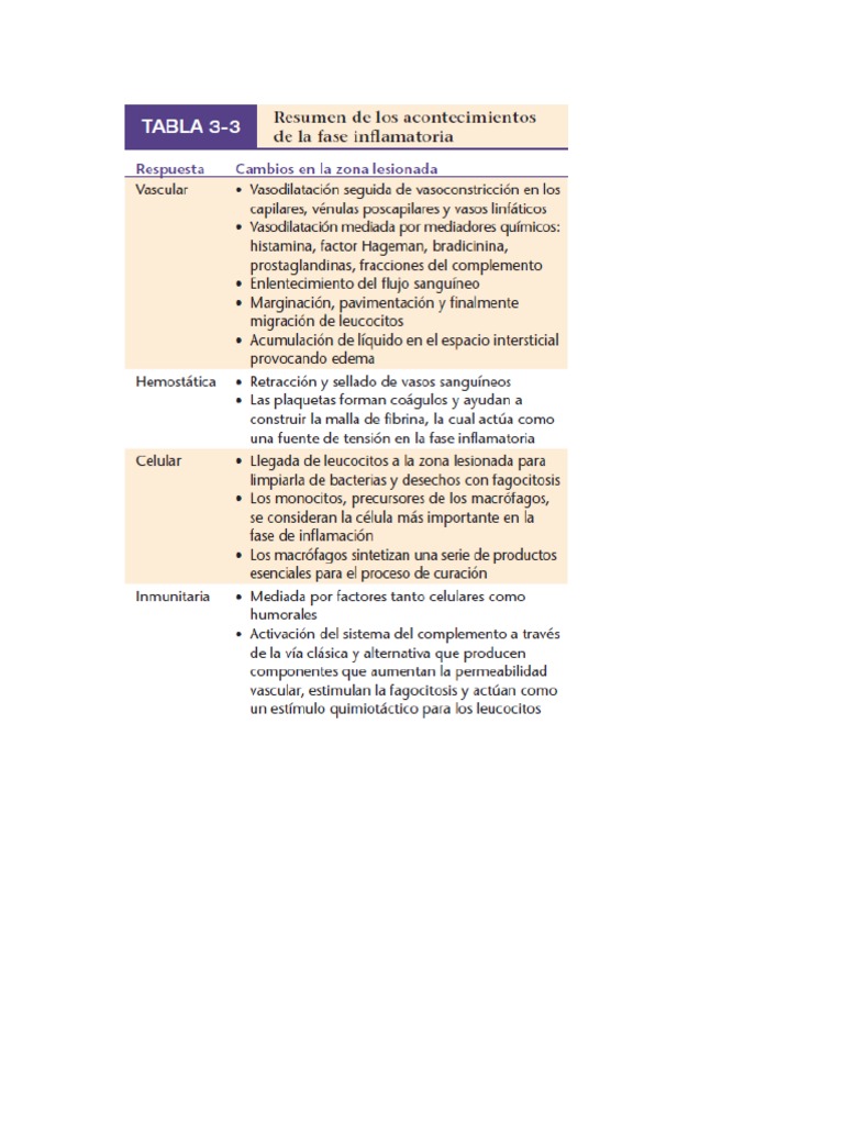 Etapas de La Inflamacion en Reparacion Tisular | PDF