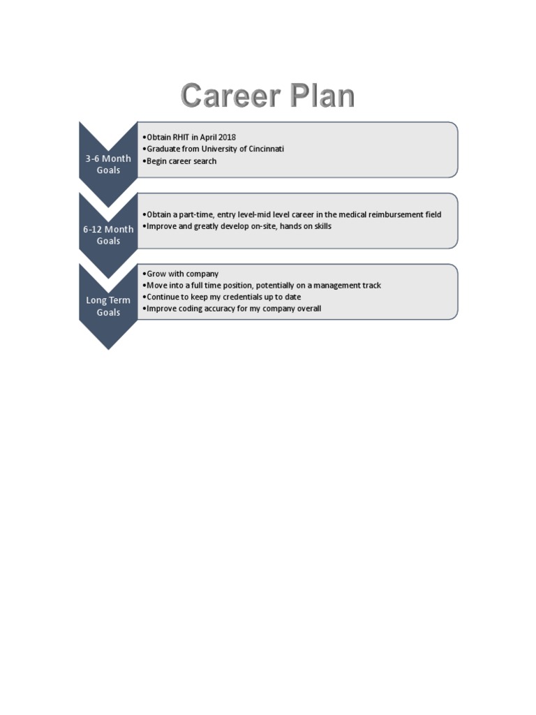 Career Plan | PDF