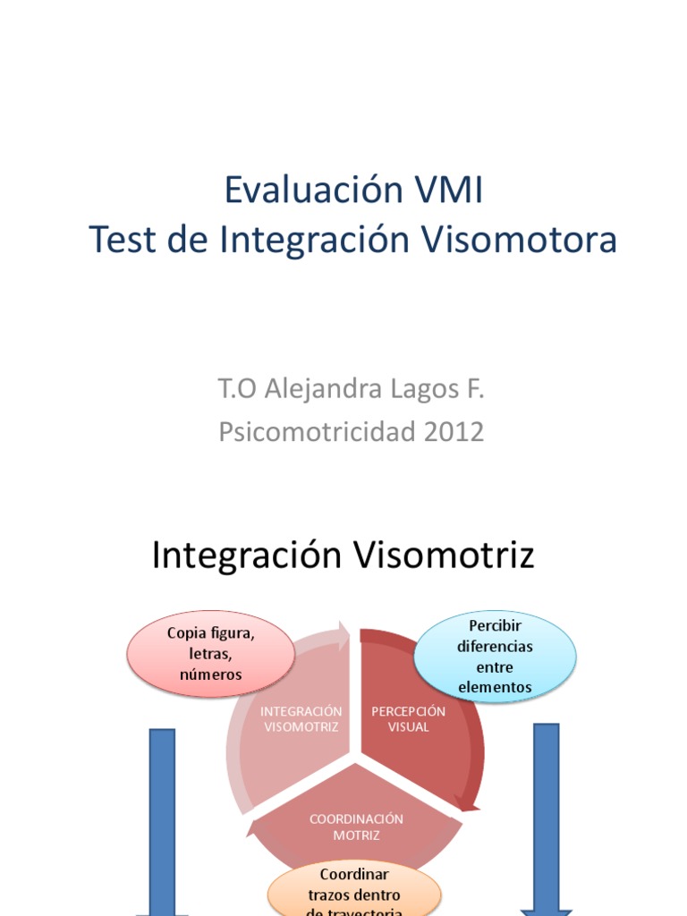 Evaluación del Test VMI en Terapia Ocupacional | PDF | Negocios