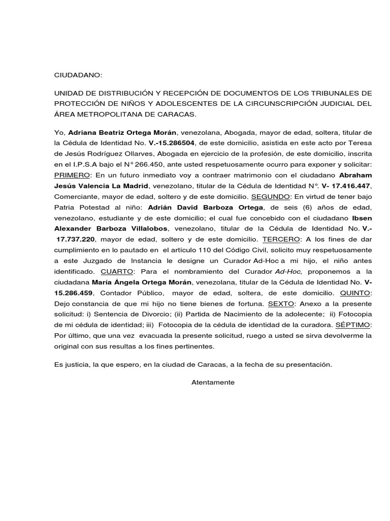 Curatela Modelo | PDF | Información del gobierno | Instituciones sociales