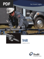 Petrel Tutorial 1 | PDF