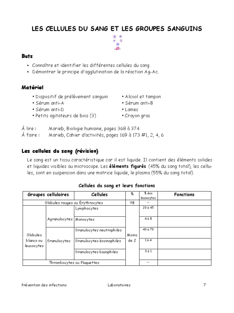 Les Cellules Du Sang Et Les Groupes Sanguins | Groupe sanguin | Globule ...