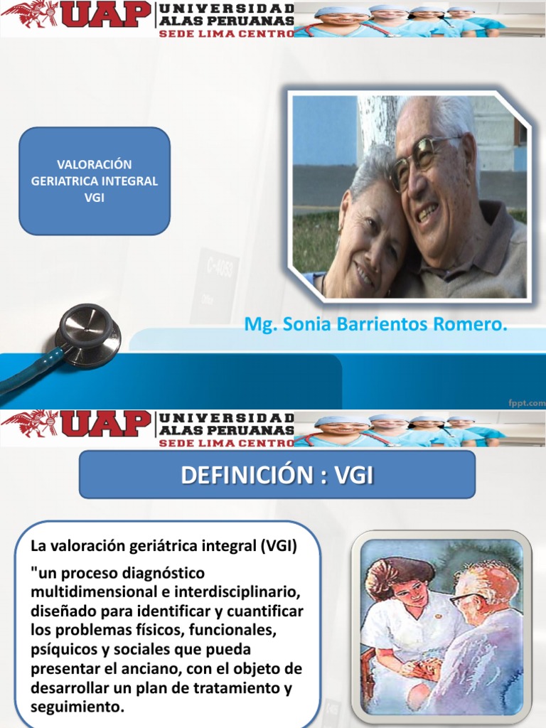 VGI | PDF | Vejez | Adultos