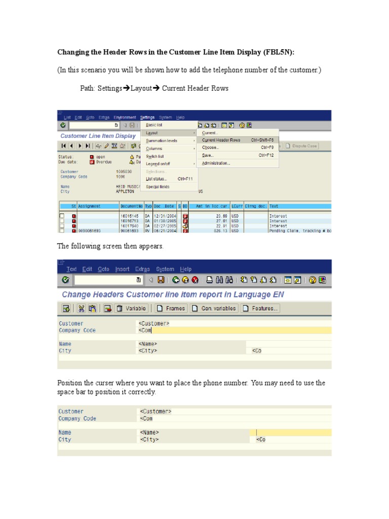 FBL5N How To Change The Header Rows in The Customer Line Item Display | PDF