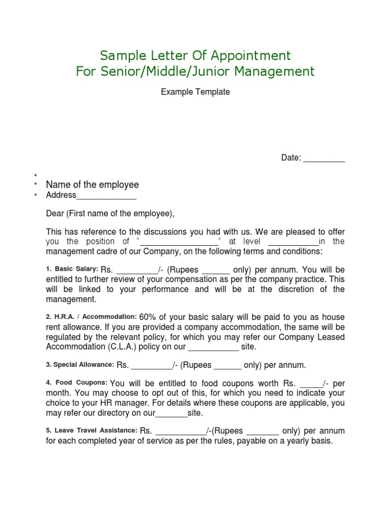 Sample Letter of Appointment | PDF | Pension | Employment