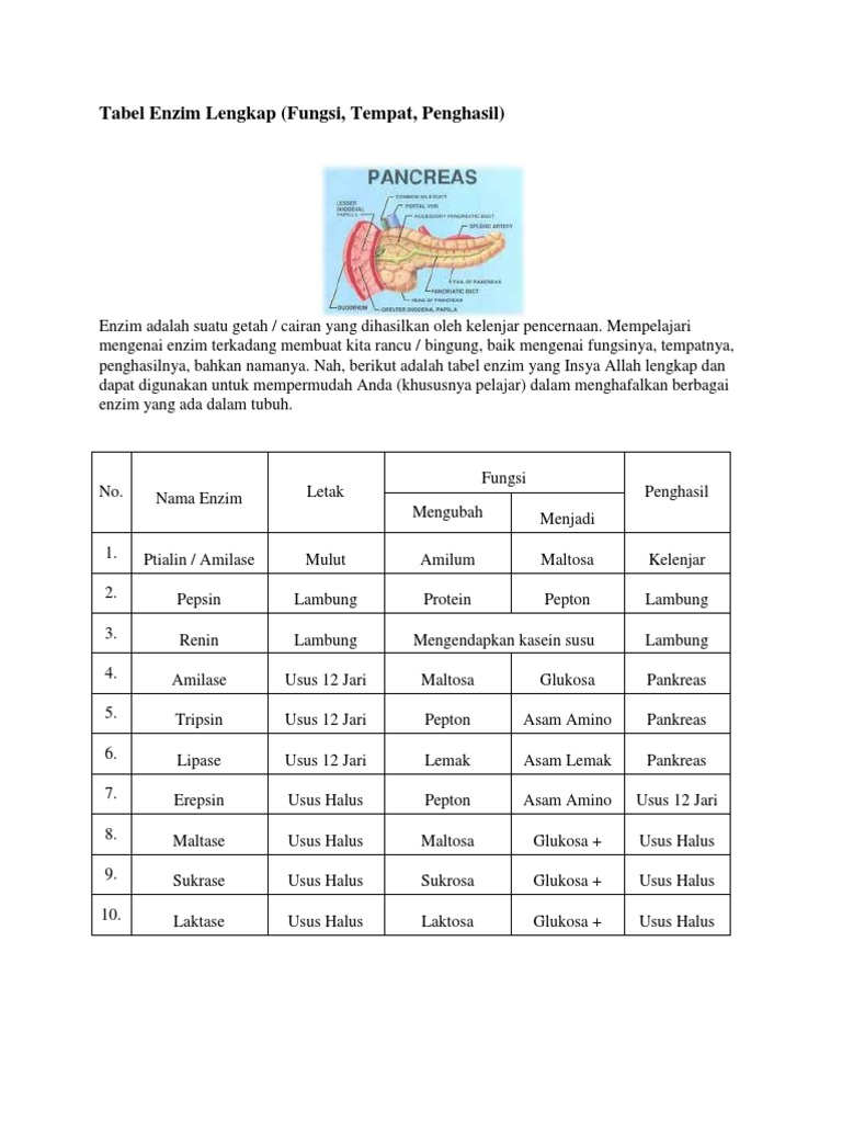 Tabel Enzim Lengkap | PDF
