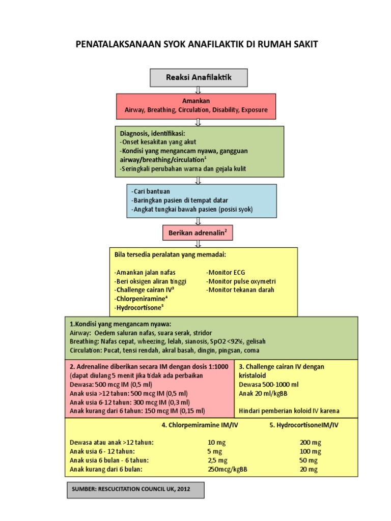 Penatalaksanaan Syok Anafilaktik Di Rumah Sakit 2 Color