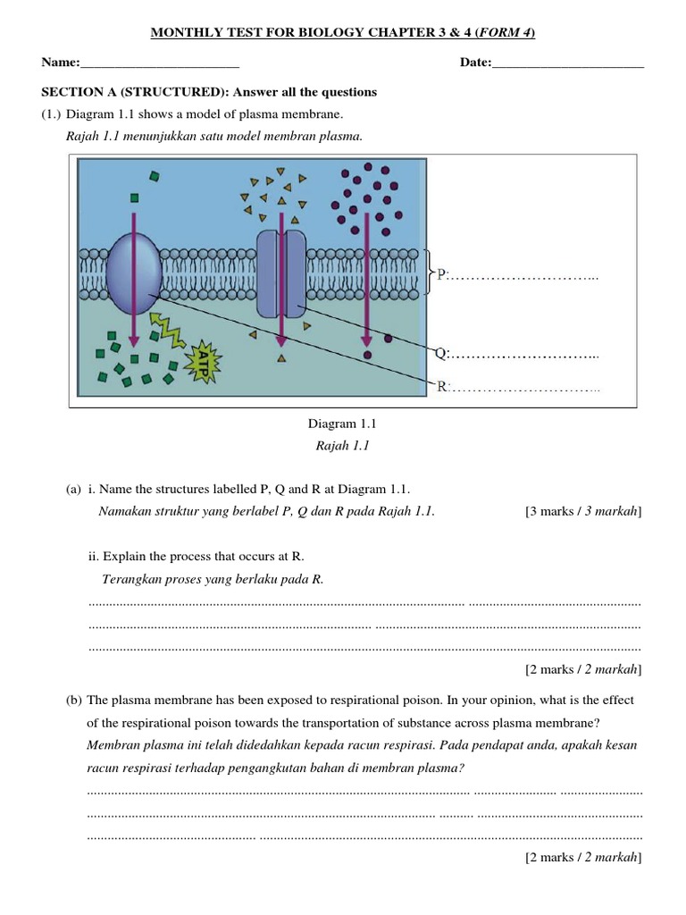 Monthly 2 Test Form 4 (Bio) | PDF | Cell Biology | Biology