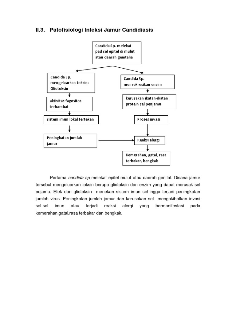Patofisiologi Jamur Candidiasis | PDF