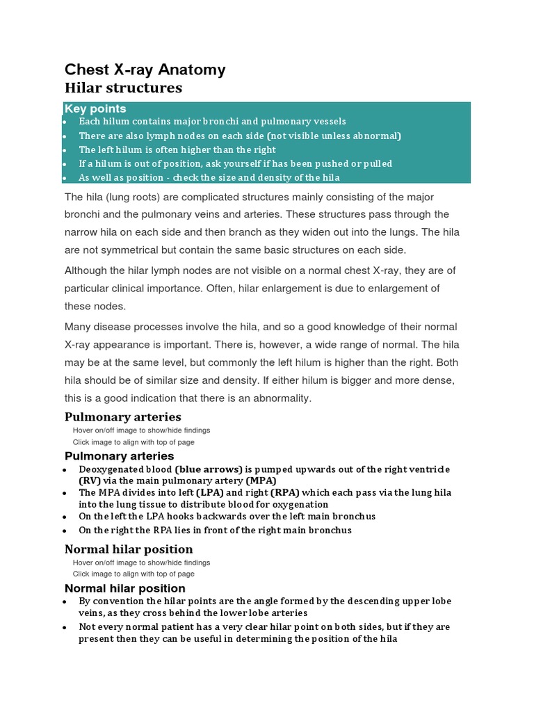 Chest X-Ray Anatomy Hilar Structures: Key Points | PDF | Lung | Artery