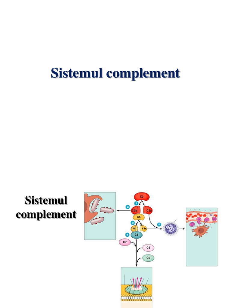 Sistemul Complement | PDF