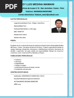 Curriculum Vitae Honduras | PDF